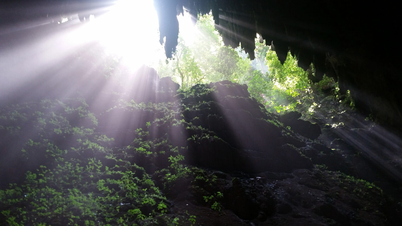 8 Best Caves & Caverns to Explore in Puerto Rico in 2024