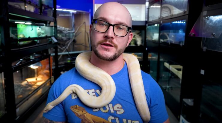 Top 17 Non-venomous Snakes In The World - Meet The Friendly Serpents